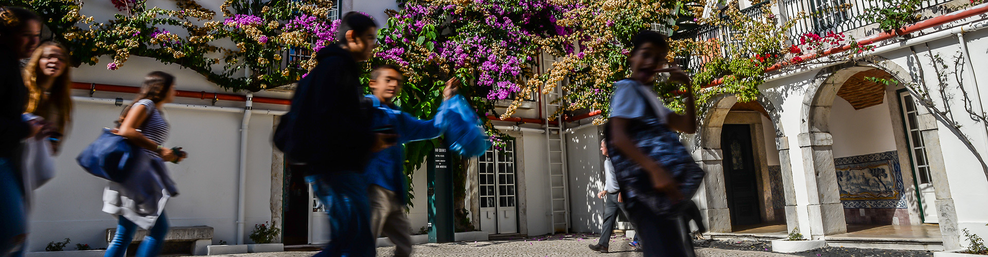 Colégio Moderno – Site oficial do Colégio Moderno